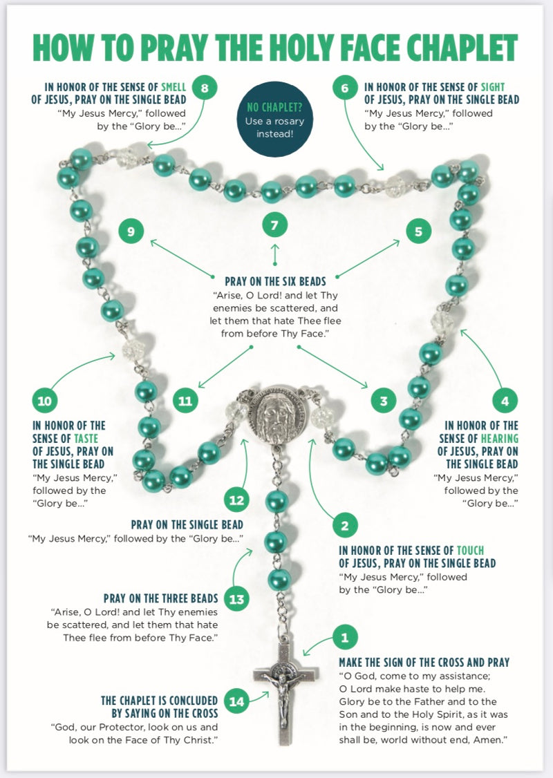 Arise O Lord! Discover the Holy Face Chaplet Holy Card, NEW — Full of ...